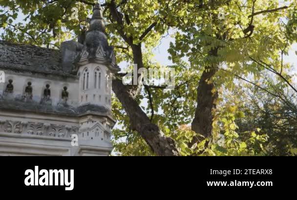Left slide shot leafy tree to gothic crypt in cemetery Paris Stock ...