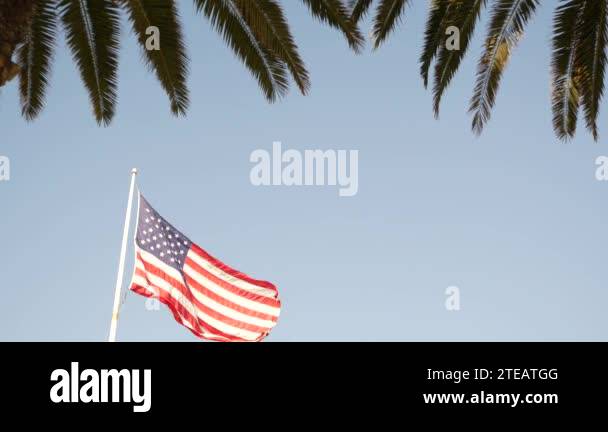 Palms and american flag, Los Angeles, California USA. Summertime ...