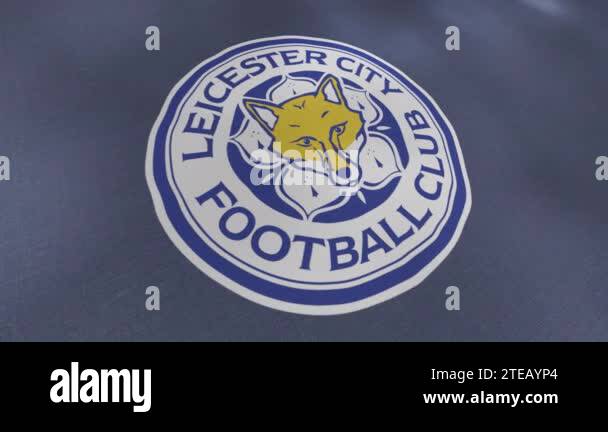 Leicester football club Stock Videos & Footage - HD and 4K Video Clips ...