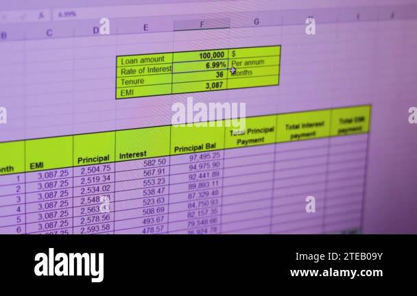 Footage of excel sheet of banking loan amortization schedule where different values being ...