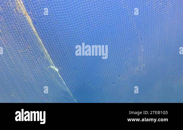 4K.Caught fish in the net hanging from the boat under the sea ...