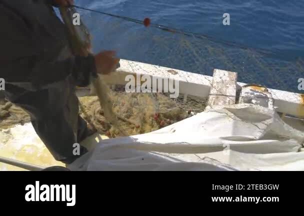 Fishing nets gather on the boat.A fisherman collects nets.Nylon net ...