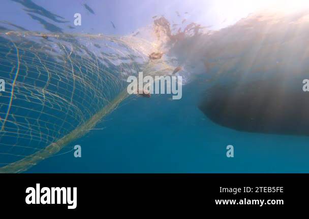 4K.Caught fish in the net hanging from the boat under the sea ...