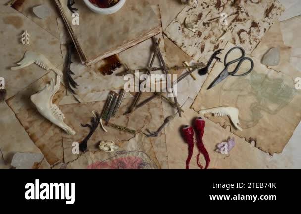 Weathered animal bones Stock Videos & Footage - HD and 4K Video Clips ...