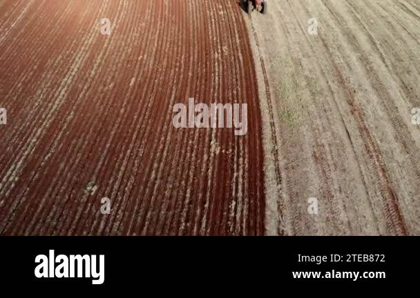 Tractor with seeder in the field. Sowing of corn, Maize in soil, with ...