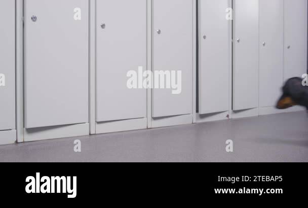 Lockers and dog Stock Videos & Footage - HD and 4K Video Clips - Alamy