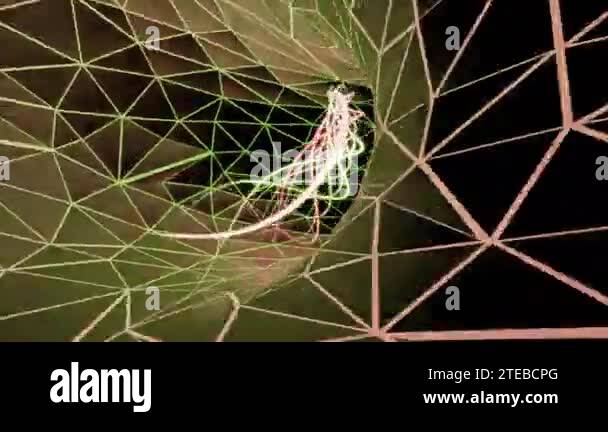 Neon multi coloured edged polygons moving and turning on a black background. Design. Flying ...