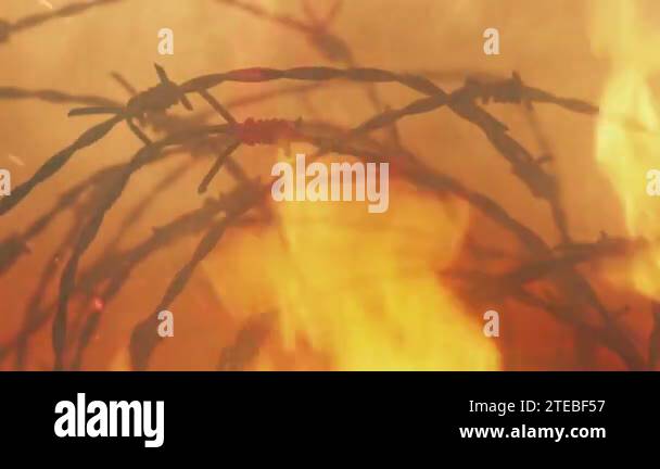 Barbed wire barrier Stock Videos & Footage - HD and 4K Video Clips - Alamy