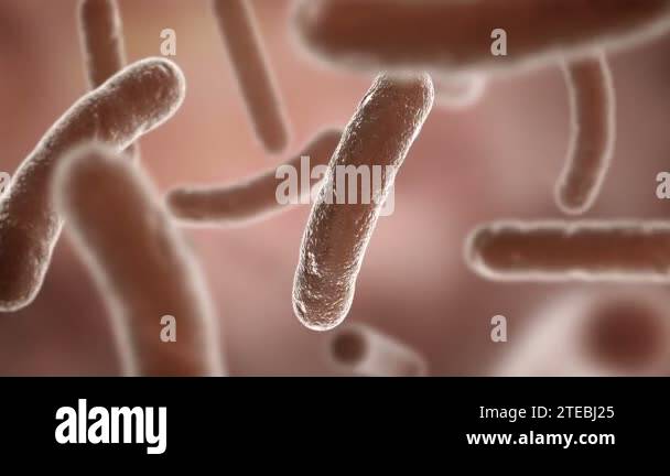 Bacteria seen by electron microscope. HD Stock Video Footage - Alamy