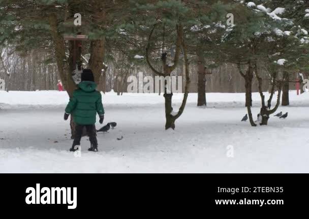 Boy chasing bird Stock Videos & Footage - HD and 4K Video Clips - Alamy