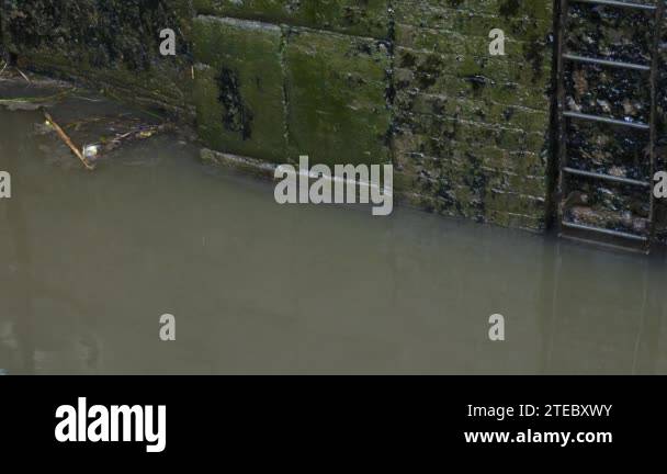 Water level inside canal lock lowering and showing more green slimy ...