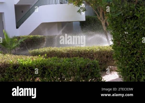 grass irrigation. Lawn irrigation system. lawn sprinkler. irrigation ...