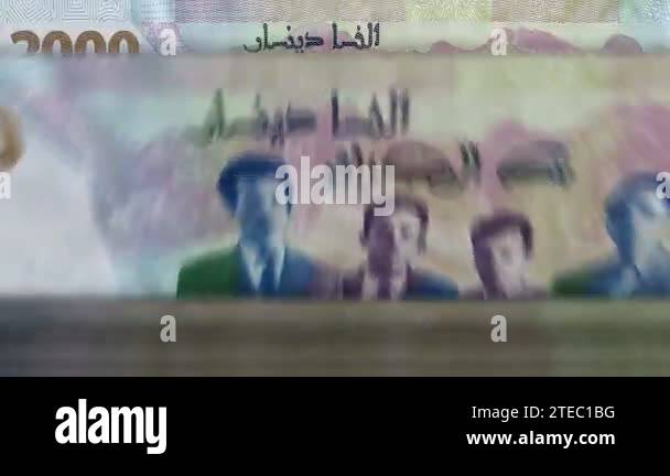 Algeria Dinar money counting machine with banknotes. Quick VND currency ...