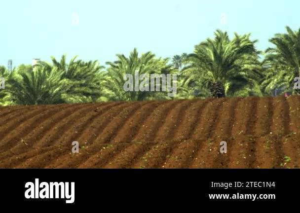 Furrow furrows Stock Videos & Footage - HD and 4K Video Clips - Alamy
