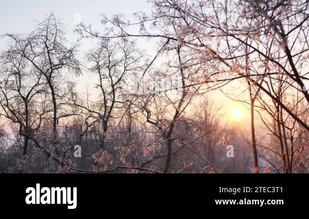Early dawn landscape Stock Videos & Footage - HD and 4K Video Clips - Alamy