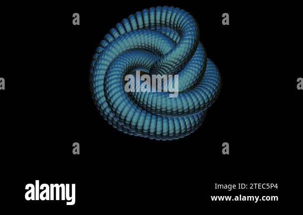 Snakes spiral texture Stock Videos & Footage - HD and 4K Video Clips ...