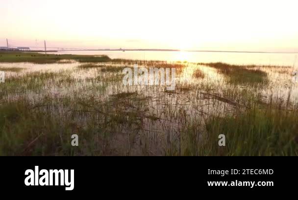 Waterfront marsh Stock Videos & Footage - HD and 4K Video Clips - Alamy