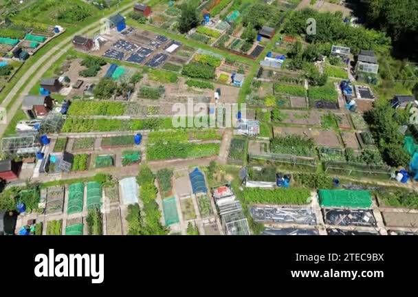 Village allotments Stock Videos & Footage - HD and 4K Video Clips - Alamy
