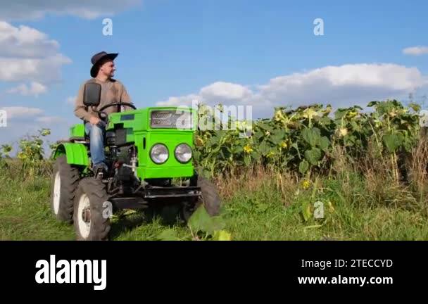 Young sunflower plantations Stock Videos & Footage - HD and 4K Video Clips - Alamy