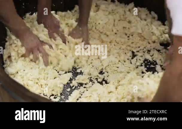 Handmade process production mozzarella cheese making manually cheese ...