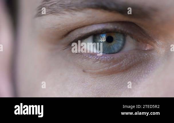 Handsome man blue eye Stock Videos & Footage - HD and 4K Video Clips ...