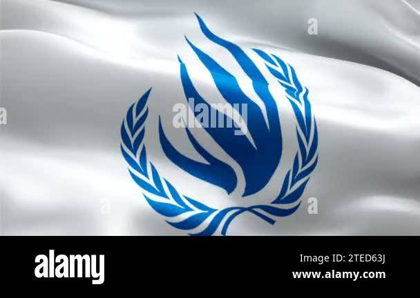 Human Rights flag. National 3d UN HRC logo waving. Sign of Human Rights ...