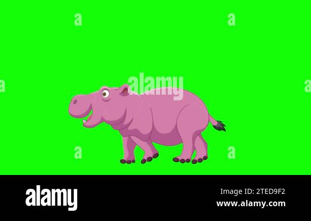 Vector illustration of Cartoon hippo walking animation on the green ...