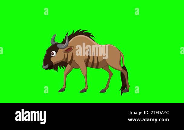 Vector illustration of Cartoon wildebeest walking animation on the ...