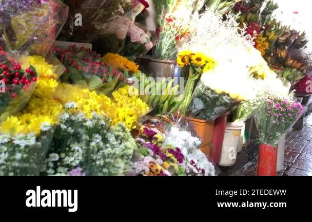 Daisy display Stock Videos & Footage - HD and 4K Video Clips - Alamy