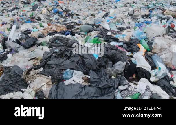 The problem of plastic waste in the world ecology. Pollution of the ...