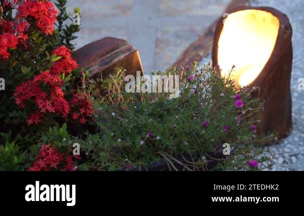 Flower garden setting Stock Videos & Footage - HD and 4K Video Clips ...