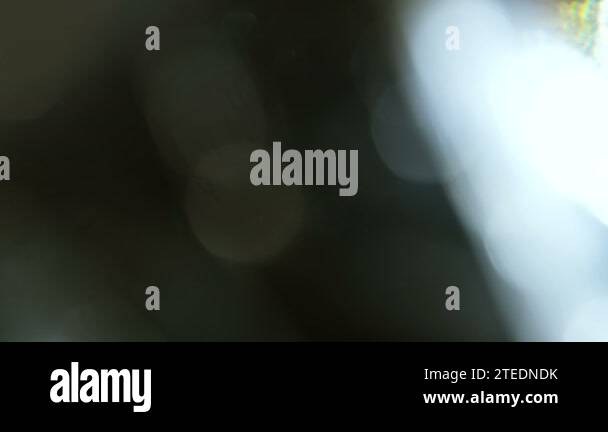 Amorphic Realistic and organic camera Light Leaks and Transitions for ...