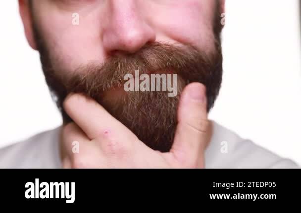 Extreme close-up male profile portrait, stroking his beard. white ...