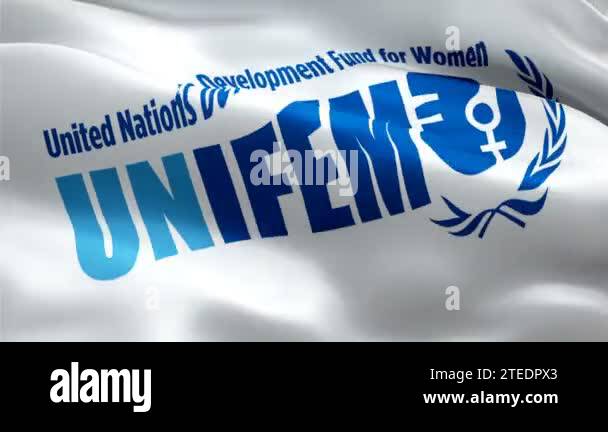 UNIFEM logo. National 3d United Nations Development Fund for Women logo ...