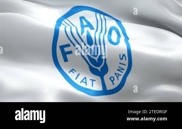 Fao logo Stock Videos & Footage - HD and 4K Video Clips - Alamy