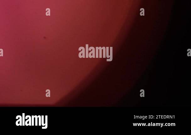 Amorphic Realistic and organic camera Light Leaks and Transitions for ...