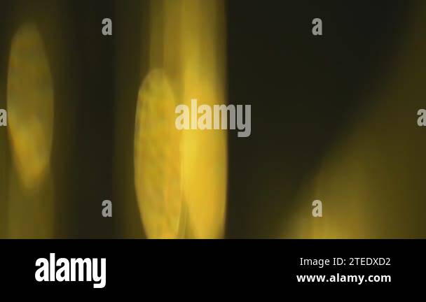 Amorphic Realistic and organic camera Light Leaks and Transitions for ...