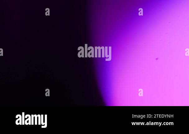 Amorphic purple Realistic and organic camera Light Leaks and ...