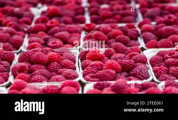 Local farm market Stock Videos & Footage - HD and 4K Video Clips - Alamy