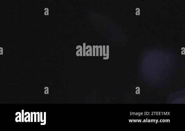 Amorphic Realistic and organic camera Light Leaks and Transitions for ...