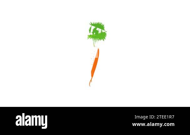 Carrot fruit icon Stock Videos & Footage - HD and 4K Video Clips - Alamy