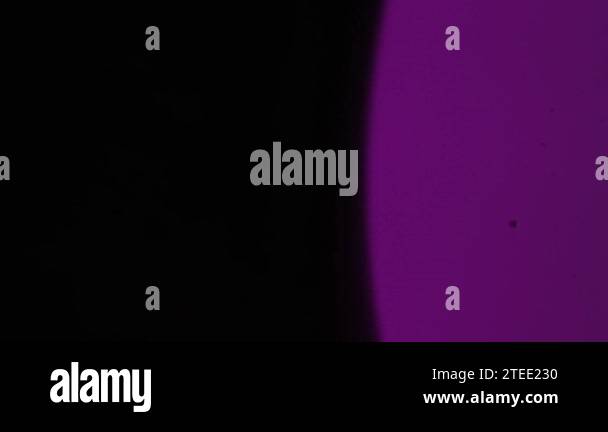 Amorphic violet Realistic and organic camera Light Leaks and ...