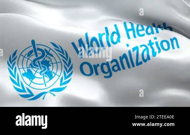 Logo of the world health organization Stock Videos & Footage - HD and ...