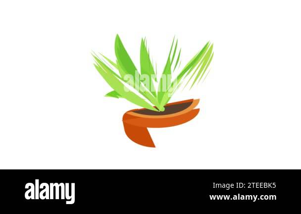 Agave flower botanical illustration Stock Videos & Footage - HD and 4K ...