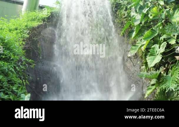 Eden project rainforest biome Stock Videos & Footage - HD and 4K Video ...