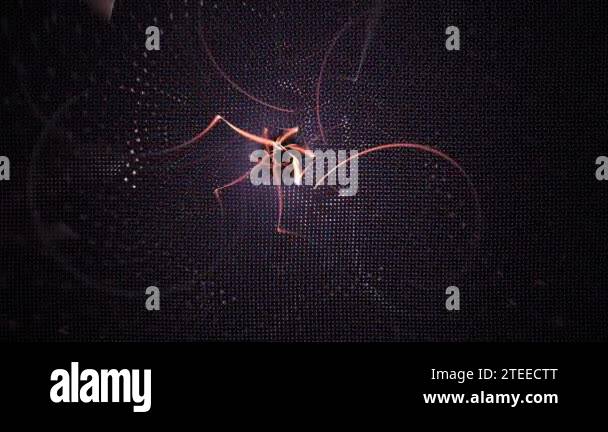 Abstract holographic gradient rainbow animation. Visual illusions ...