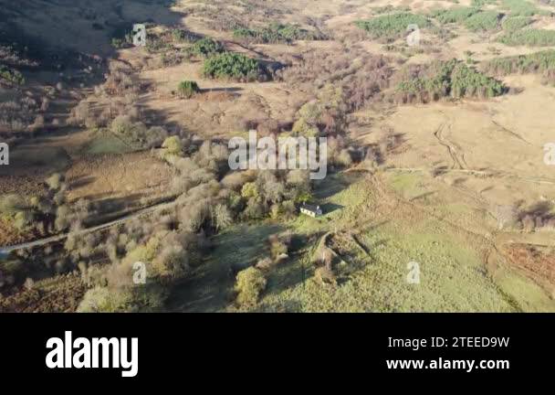 Slow aerial drone footage descending towards native woodland in winter ...