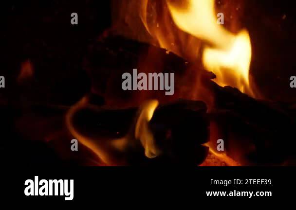 Family log fire Stock Videos & Footage - HD and 4K Video Clips - Alamy