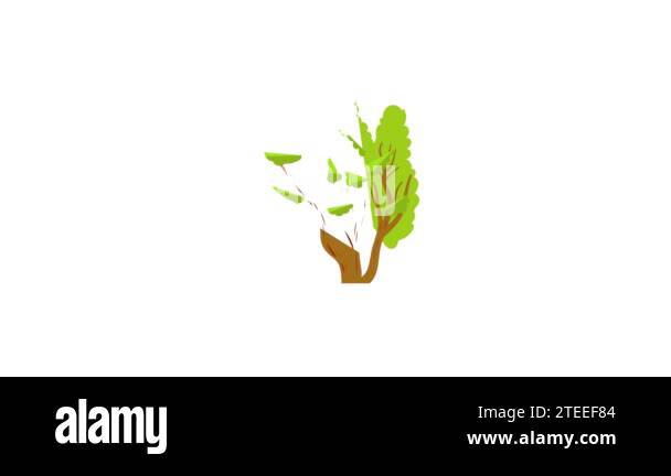 Green multi stemmed tree icon animation Stock Video Footage - Alamy