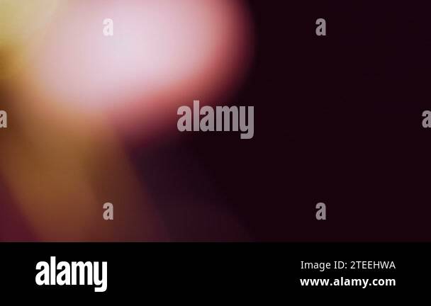 Amorphic Realistic and organic camera Light Leaks and Transitions for ...